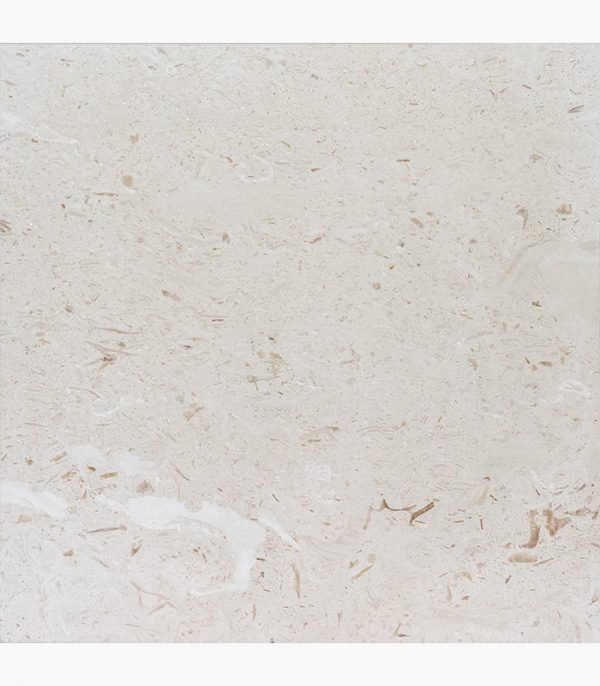 12x24 SHELL STONE BRUSHED LIMESTONE TILE - Travertine Warehouse